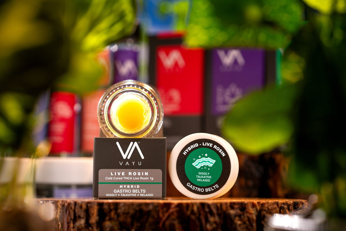 Gastro Belts - Hybrid - Cold Cured THCA Live Rosin - 1G – St. Anky Flowers